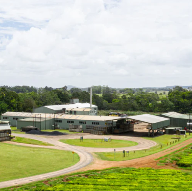 Nerada Tea Customer Service